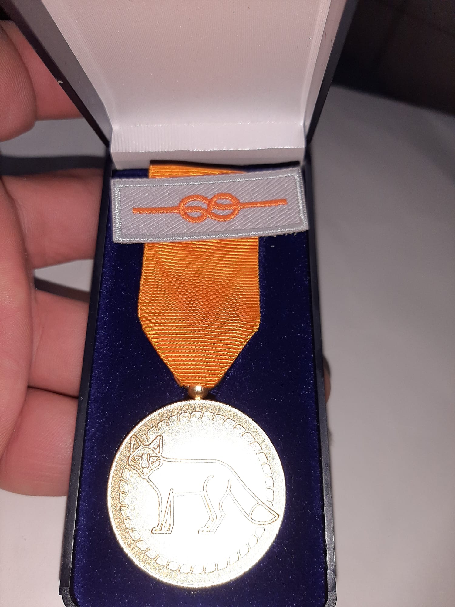 Jubilea – Scouting VPV Hoorn